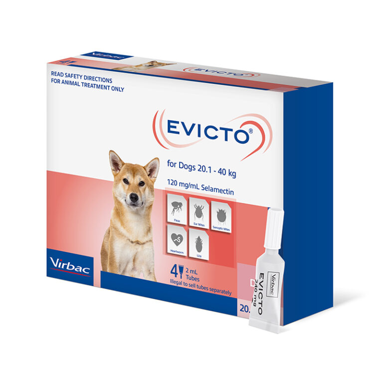 Buy Evicto Spot-On for Large Dogs - 4 Pack Online - The Lake Veterinary ...